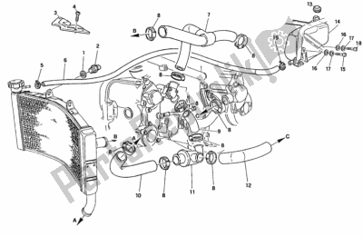 Cooling circuit spare parts for Ducati Superbike (851) from 1992 ...